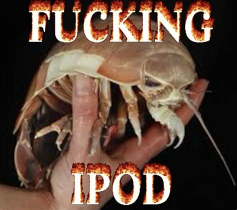 Ipod On Tumblr