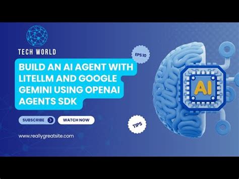build an agent using litellm and gemini API key with openai agents sdk ...