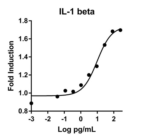 Humankine® Recombinant Human Il 1 Beta Protein United Bio Research