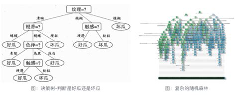 大模型可解释性调研 知乎