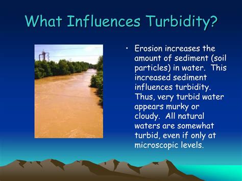 PPT Turbidity Or Not Turbidity PowerPoint Presentation Free Download ID
