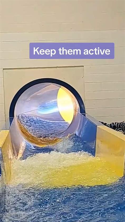 Lazy Morning Sitting On The Couch Im Sure Like Most We Just Eanted To Have A Chill Day But The