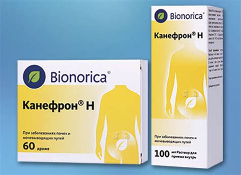 Канефрон При Уретрите – Telegraph