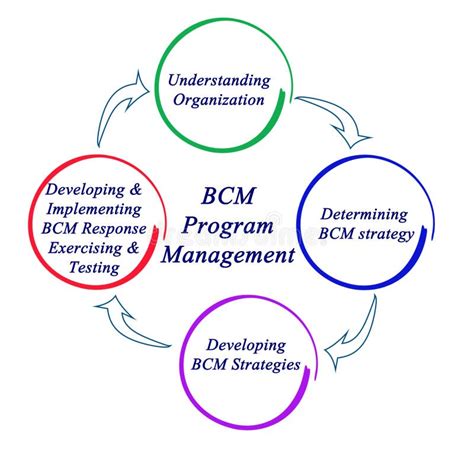 Bcm Program Management Stock Illustration Illustration Of Control