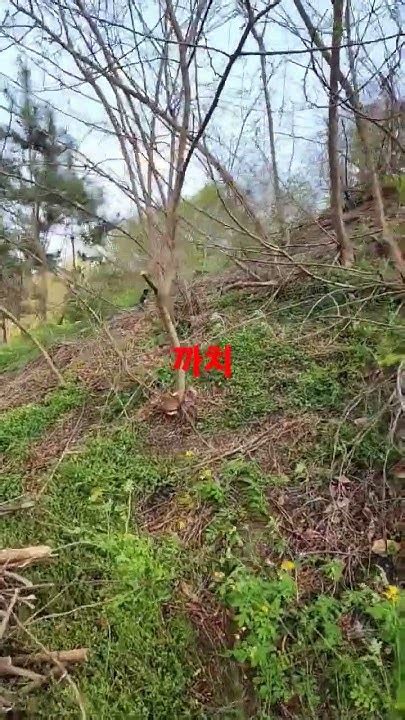 좋은 일이 생겼으면 좋겠네 Youtube