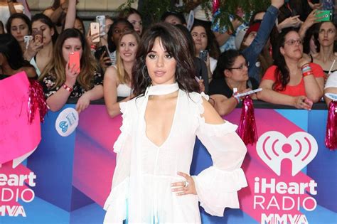 Camila Cabello Had Flirtation Ship With Famous Guy At Grammys Party