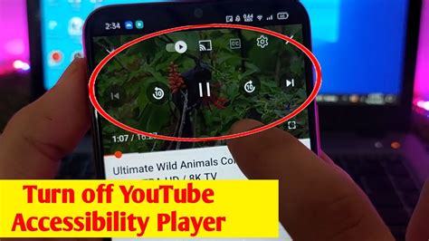 How To Turn Off Youtube Accessibility Player From Long And Shorts Video Sky Tech Youtube