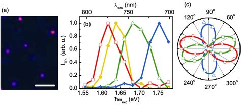 8 Two Photon Luminescence Of Single Gold Nanorods A Raster Scan Of Download Scientific