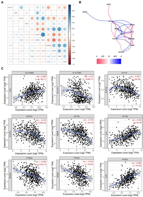 Correlation Analysis Among The Hub Genes A Correlation Diagram Of