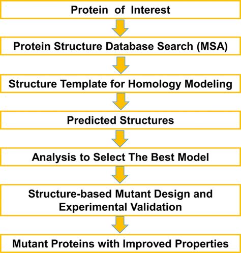 protein design with comparative structure modeling the protein
