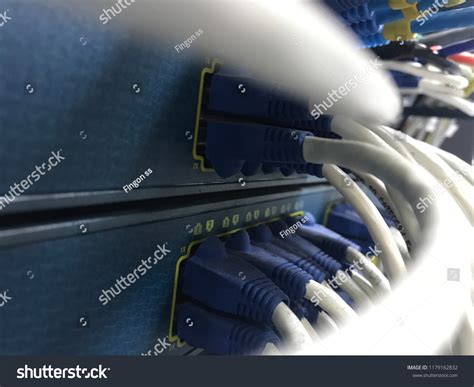 Network Switch Ethernet Cables Rack Cabinetutp Stock Photo Shutterstock