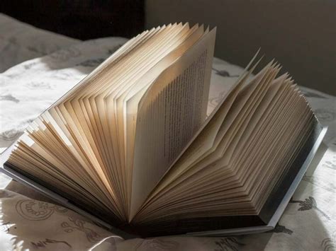 The Conjugation Of Reflexive Or Pronominal Verbs In The Passé Composé