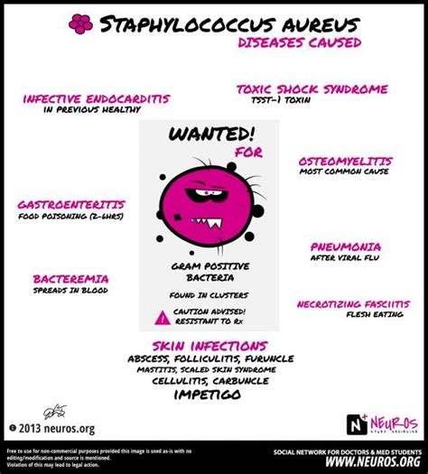 Staph Aureus Dentowesome