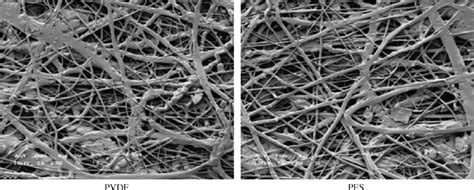 SEM Photographs Of PVDF And PES Membrane Download Scientific Diagram