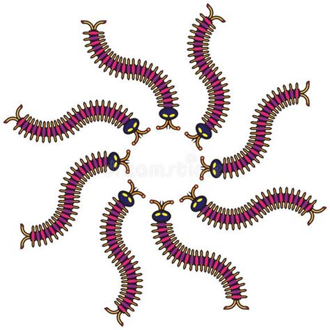 Millipede Convention Stock Illustrations 1 Millipede Convention Stock Illustrations Vectors