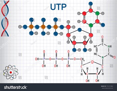 Uridine Triphosphate Utp Nucleotide Molecule Used Stock Vector Royalty Free 791671804