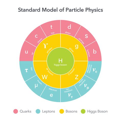 Estándar Modelo De Partícula Física Vector Ilustración Gráfico 26586281