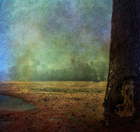 Premium Photo Trees In Background