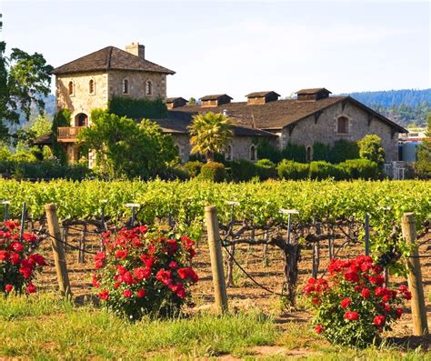 Best Scenic Drives In Napa Valley Itinerary Things To Do Travel
