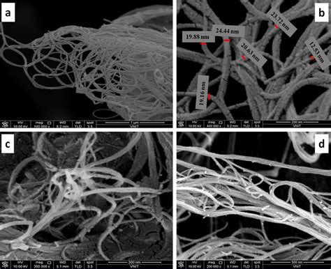 Scanning Electron Micrographs Of A B Pristine Mwcnt And C D