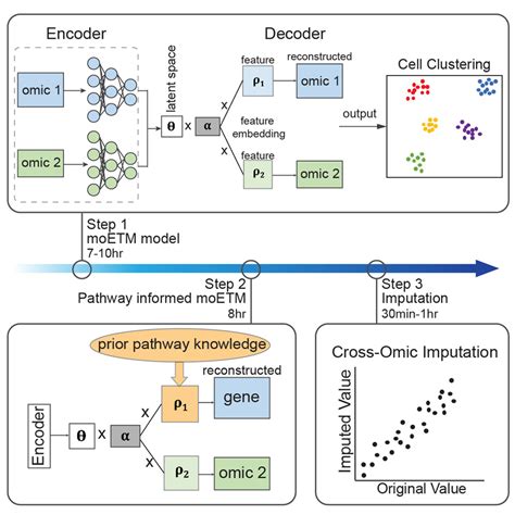 Cell Press Star Protocols