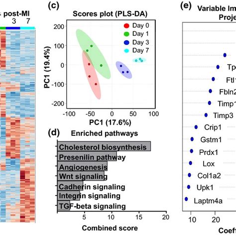 A Workflow For Analyzing Differential Gene Expression Of 23 487 Genes