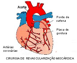 Socerj Sociedade De Cardiologia Do Estado Do Rio De Janeiro