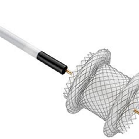 Lumen Apposing Metals Stents In Advanced Endoscopic Ultrasound Guided Interventions Novel