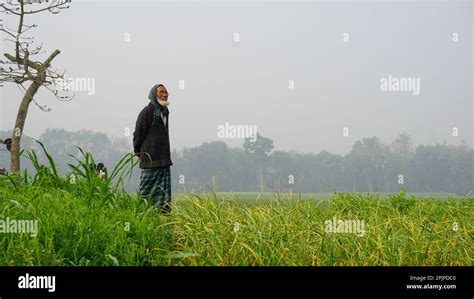 Bangladesh Is A Vast Agricultural Land A Farmer Looking At The Crops