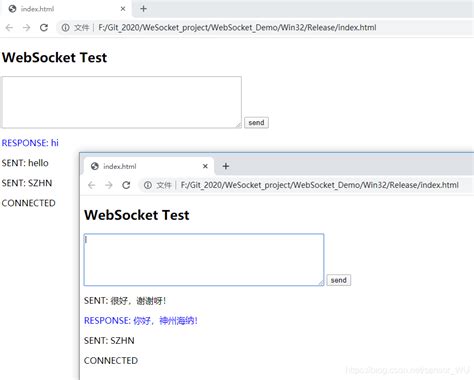delphi 的websocket server 控件实现（四、websocket demo程序使用说明）（含源码） delphi