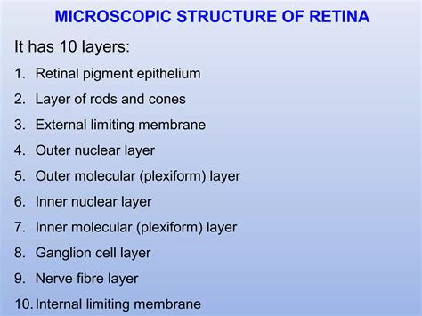 Anatomy Of Retina Ppt