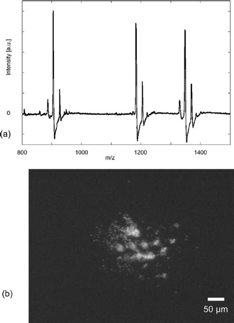 Single Shot Measurement Data ͑ A ͒ A Part Of The Spectrum Of A Single