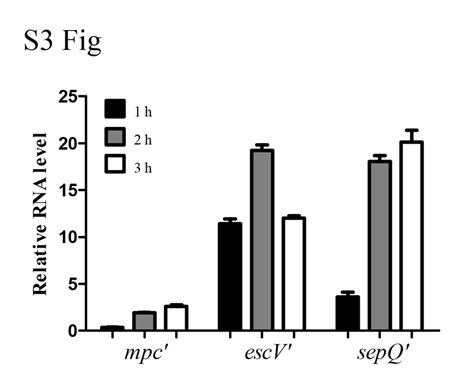Pdf S3 Fig