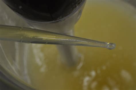 Cold Process Soap Archives Page Of Adventures With The Sage