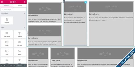 Elementor Custom Skin Pro Wordpress 324 Xenvncom