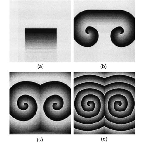 Temporal Evolution Of A Truncated Wave Front To A Spiral Pair Slow Download Scientific Diagram