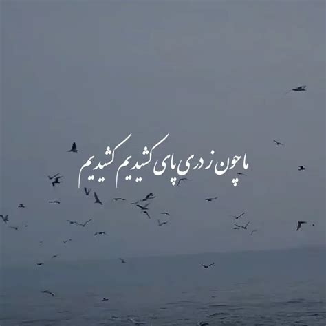 شعر تکست ریلز ‎ ‎برای برترین اشعار پارسی فالو کنید عشق زندگی مولانا