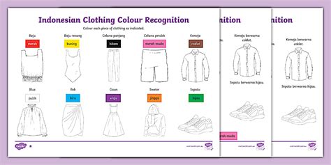 Clothes Colour Recognition Indonesian Teacher Made