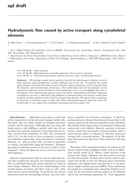 Pdf Hydrodynamic Flow Caused By Active Transport Along Cytoskeletal