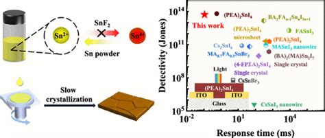 High Performance Lead Free Layered Perovskite Photodetectors And