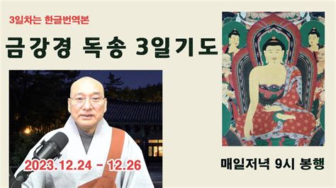 매일기도 1071 나와 가족을 위한 금강경 독경 3일기도 번역본 라이브 💘3일차 금우스님 👍 20231226 👍 Youtube