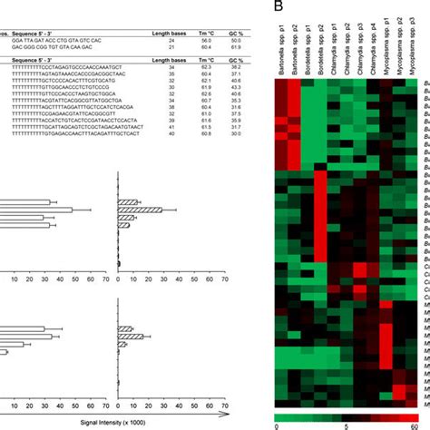 Detection Of C Pneumoniae By A Dna Microarray For Intracellular