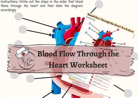 Nursing Worksheet Of Blood Flow Through The Heartbody Nursing Study