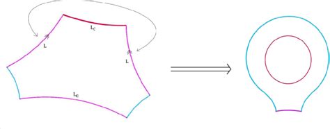 Disk With One Bulk Puncture And One Boundary Puncture Formed By A Download Scientific Diagram