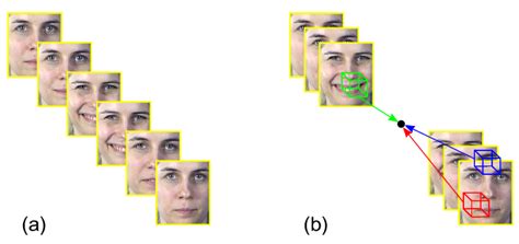 Hough Voting In The Case Of Expression Recognition A Sample Facial Download Scientific