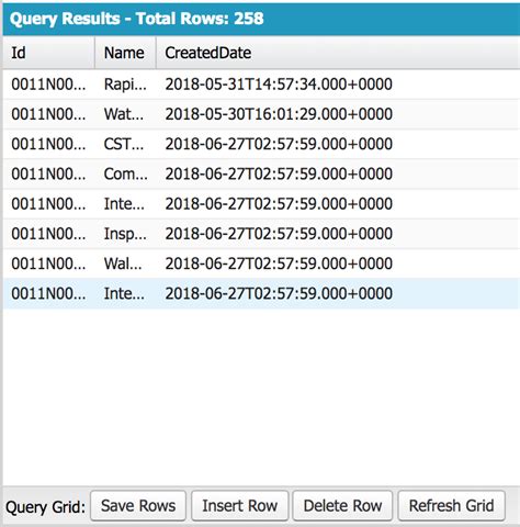 Soql Why Is The Developer Console Query Results Preview Only Showing