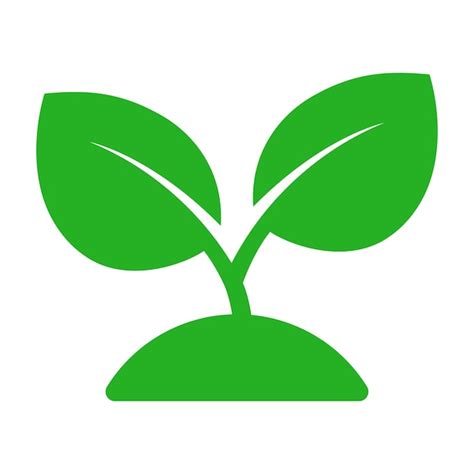 새싹 일러스트 벡터 Freepik에서 무료 고품질 벡터를 다운로드하세요 Freepik