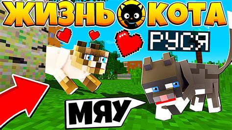 ЖИЗНЬ КОТА В МАЙНКРАФТЕ 3 КОШКА ВЛЮБИЛАСЬ В МЕНЯ У НАС БУДУТ КОТЯТА Youtube
