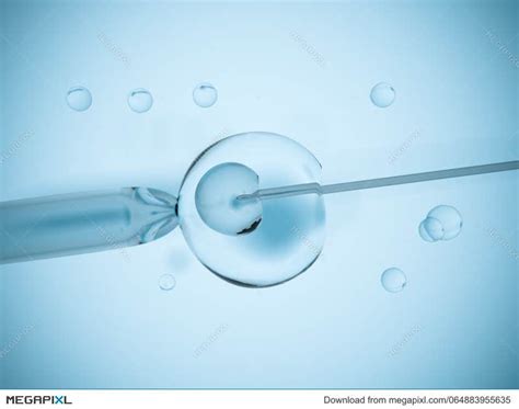 Vitro Fertilisation Microscope Stock Images By Megapixl