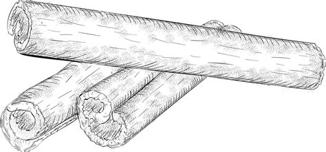 Trendy Cinamon Concepts 36902314 Vector Art At Vecteezy